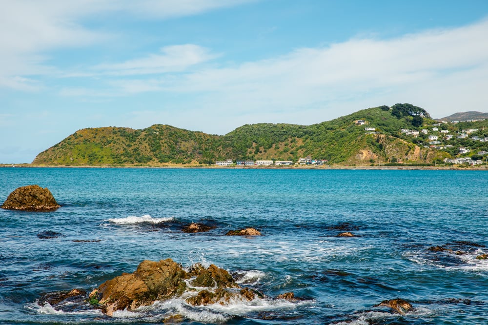 Home Page [discoverwellington.nz]