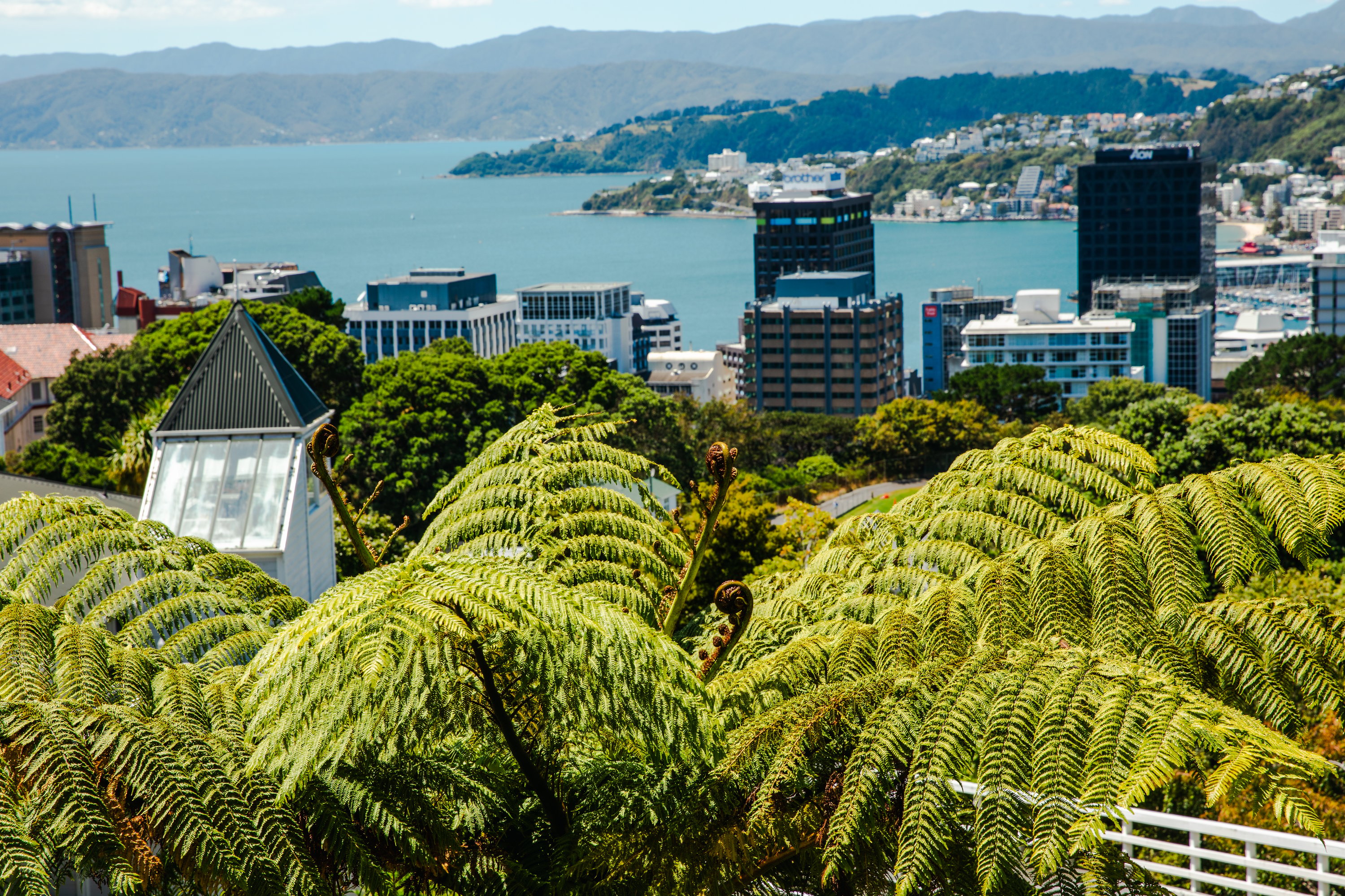 Home Page [discoverwellington.nz]